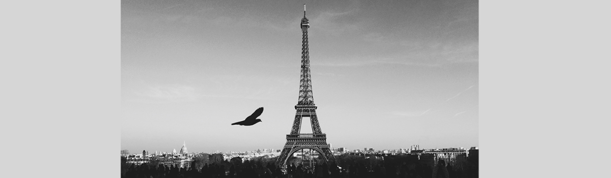 French management style: how to escape an oft-criticised approach - NEOMA